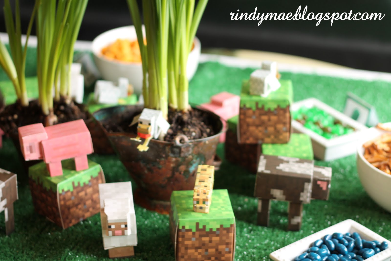 Rindy Mae: A Minecraft Birthday Party