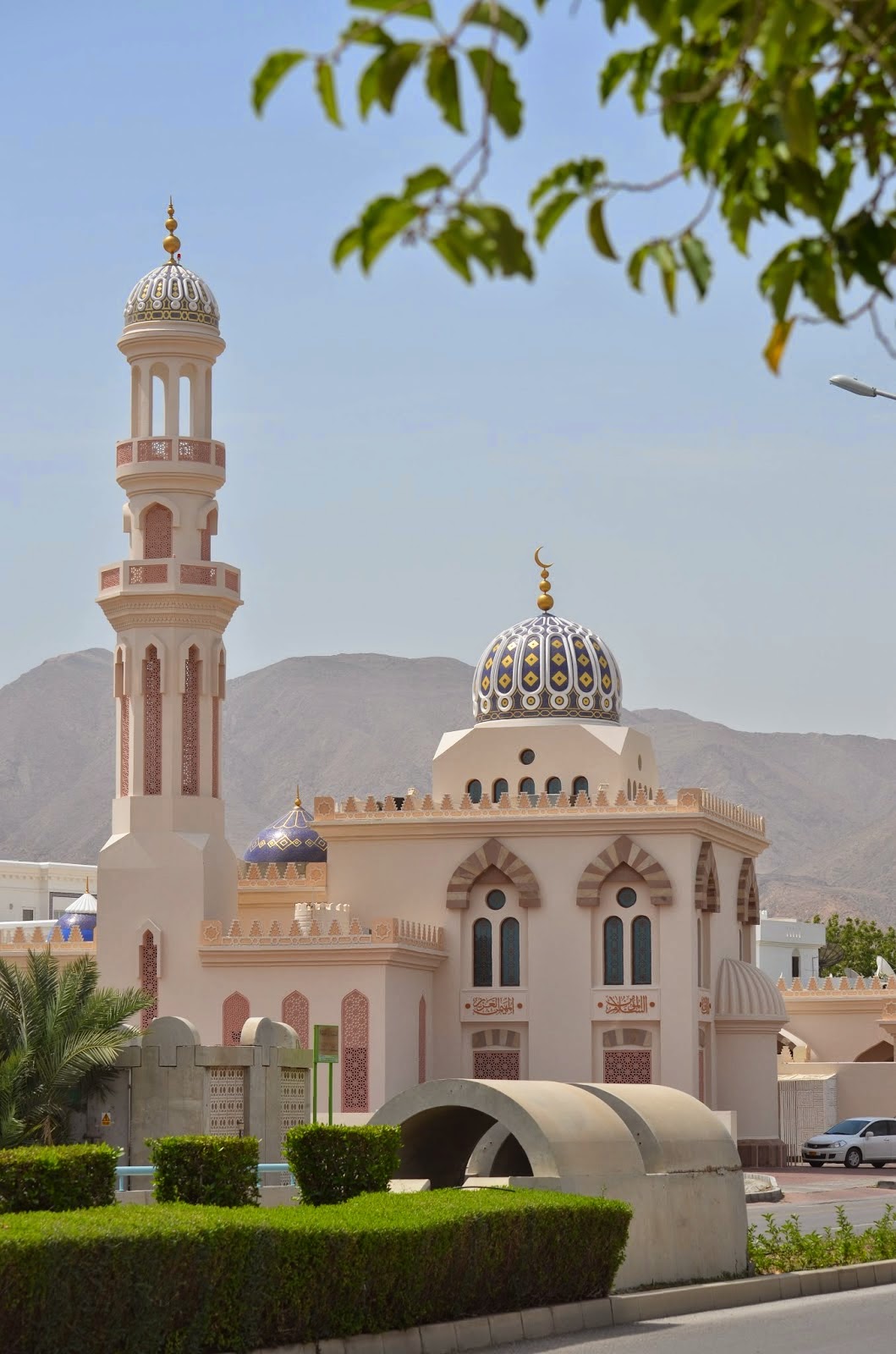 Oman? Oh My!!: Highlights of Oman? Oh My!!I