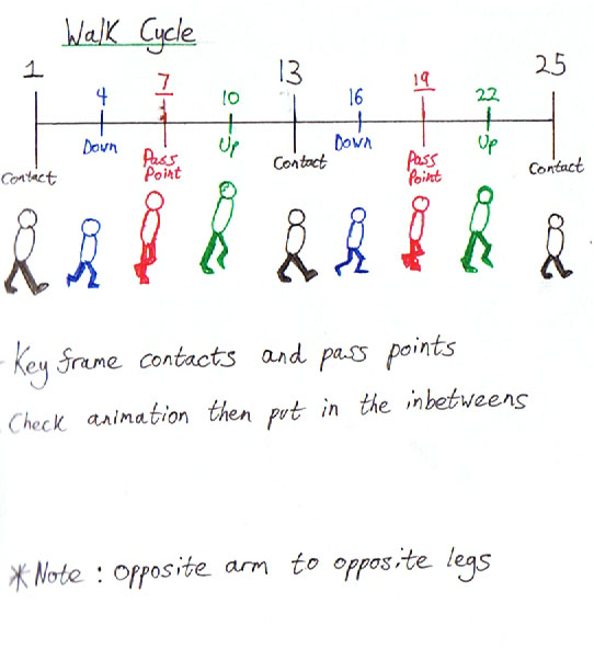 Farideh's Animation: Walk cycle