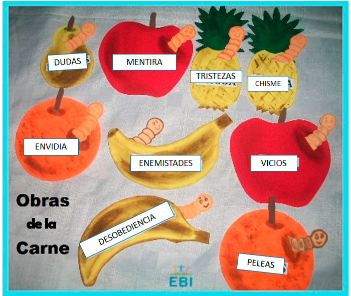 Blog de la EBI : Actividades prácticas