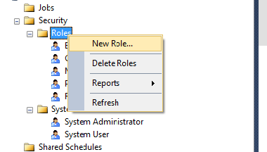 IT Journey: Create Custom Role in SSRS (SQL Server Reporting Server)