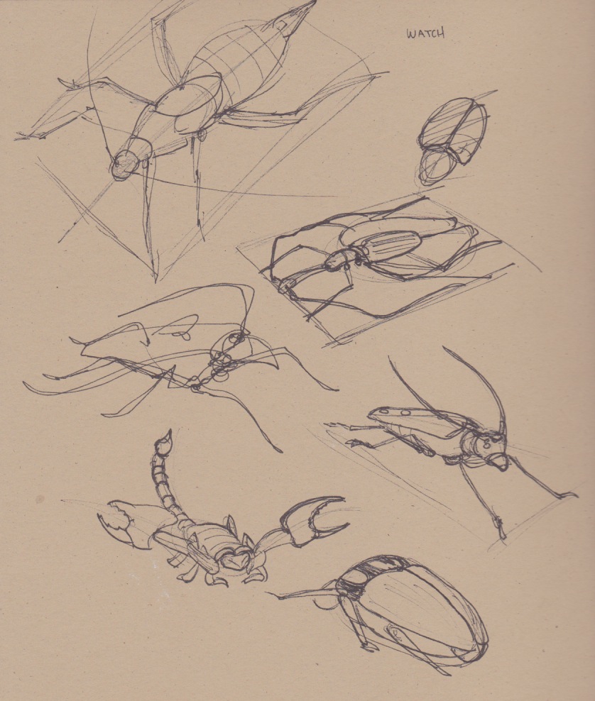 Gina Draws . . .: Dynamic Sketching Week 4 - Insects