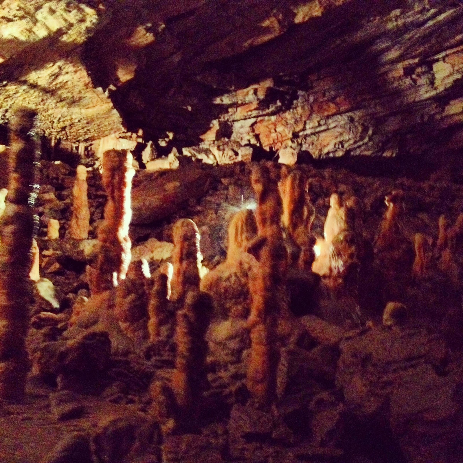 Peace Love Wanderlust: Postojna Cave!