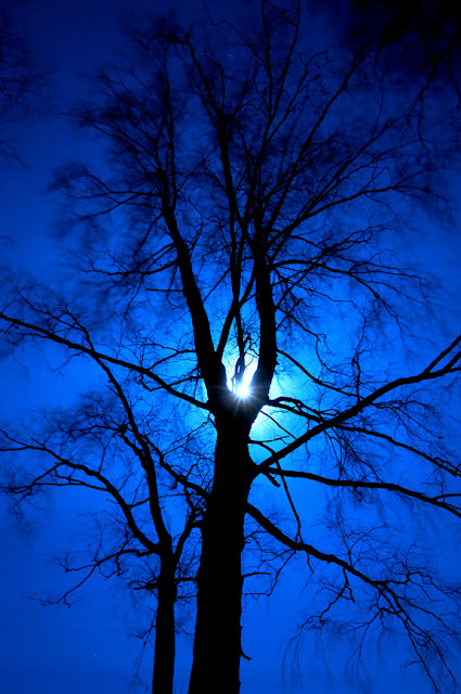 Blue Moon Light Wallpapers | Images Artists