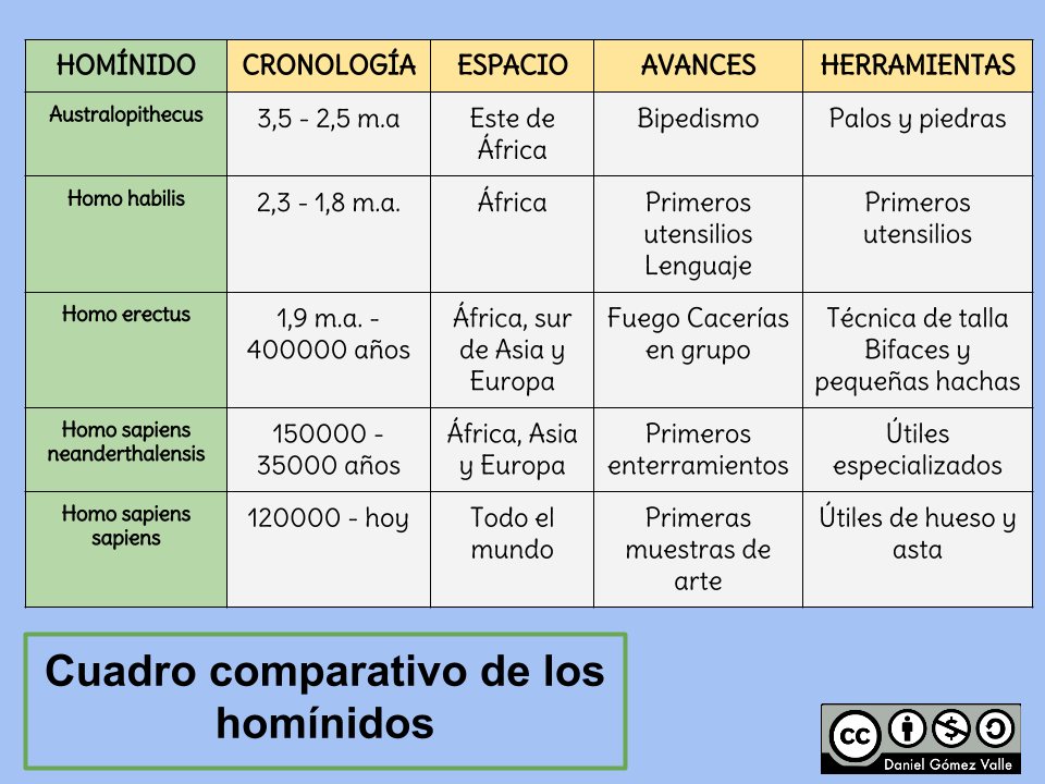 Cuadro comparativo de LOS HOMÍNIDOS