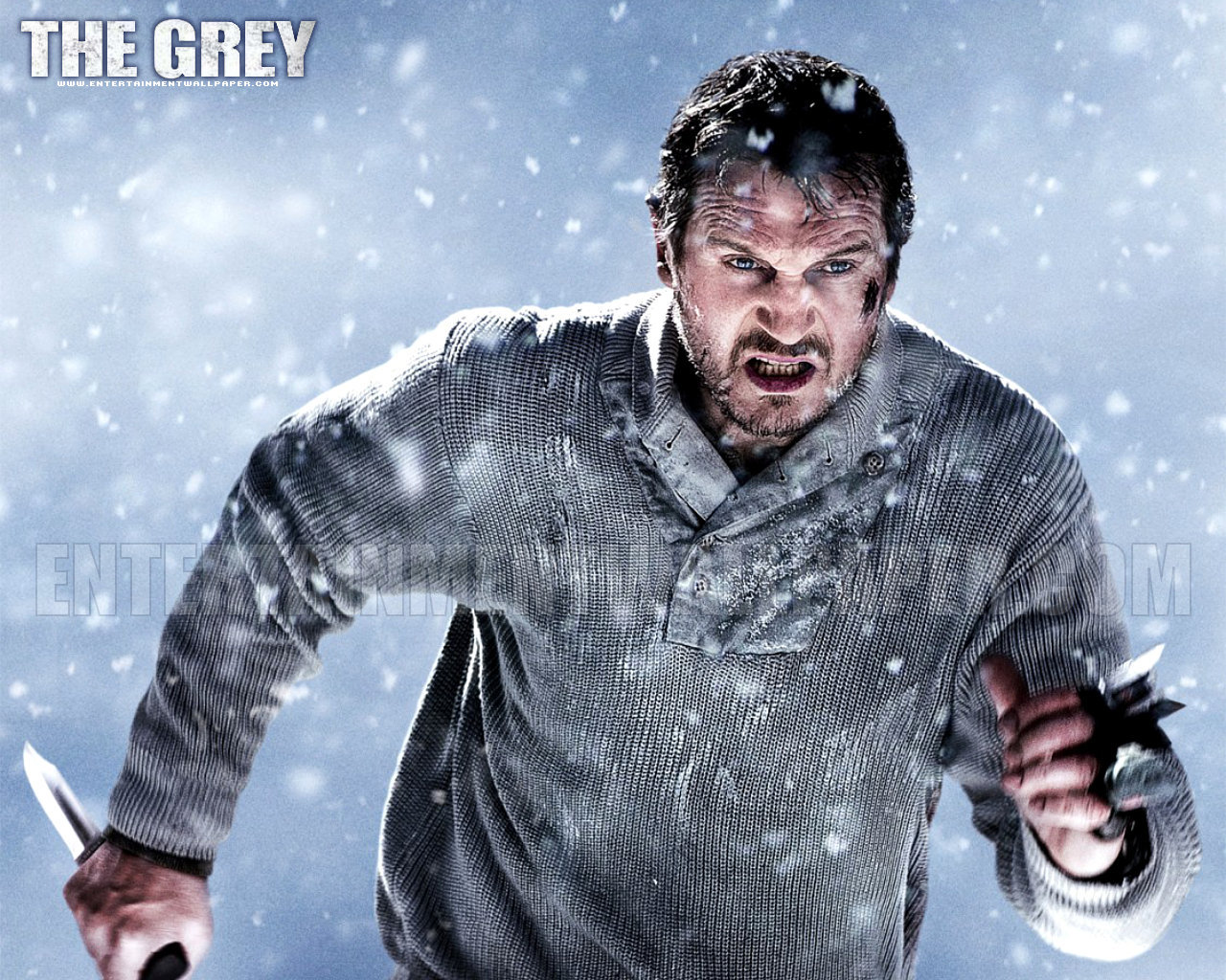 Bernard's Reviews About Anything!: The Grey Movie Review