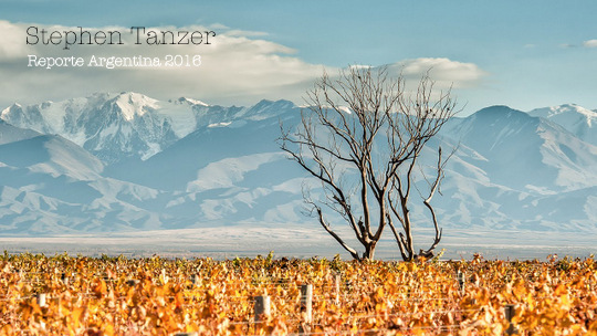Wine MDQ: Reporte Stephen Tanzer Argentina 2016