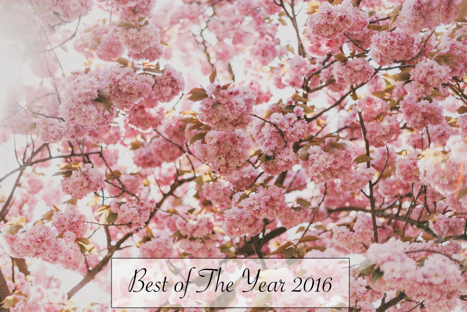 Best of The Year 2016 | Daydreaming Maven