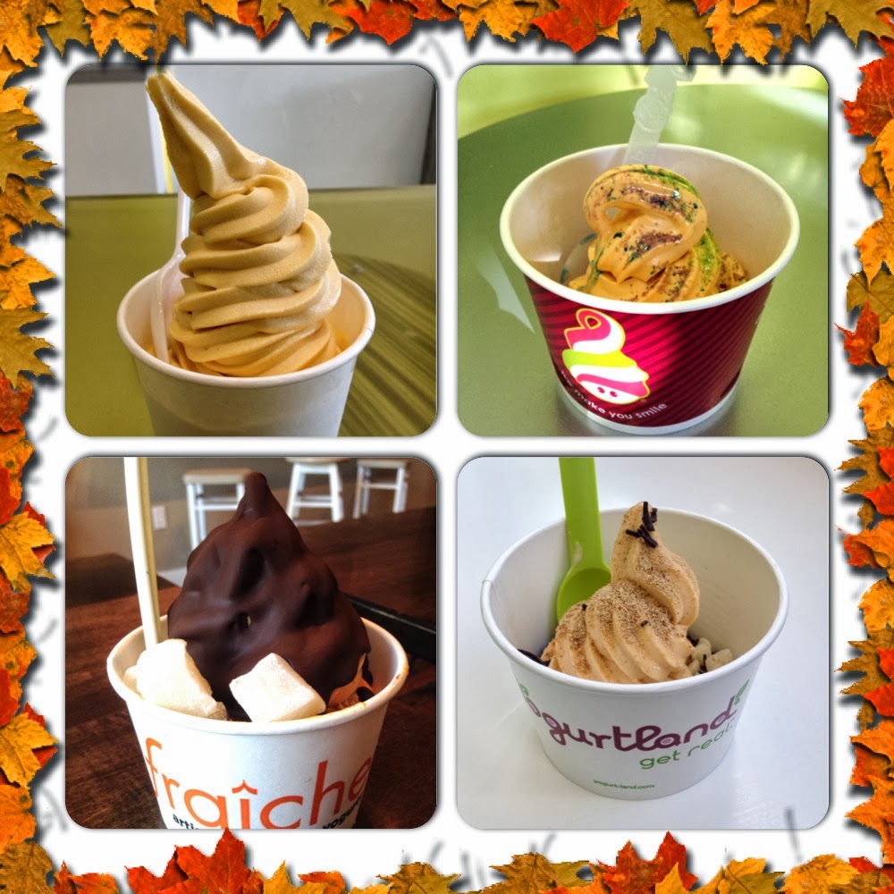 Fro-Yo Girl Speaks: Pumpkin Froyo Pics
