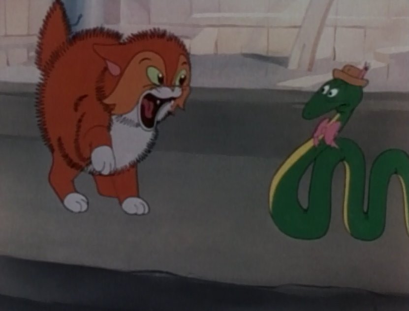 The Lost Continent: Animaland: The House Cat