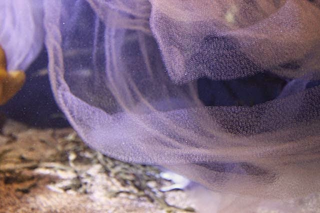 Exhibit Galleries Blog