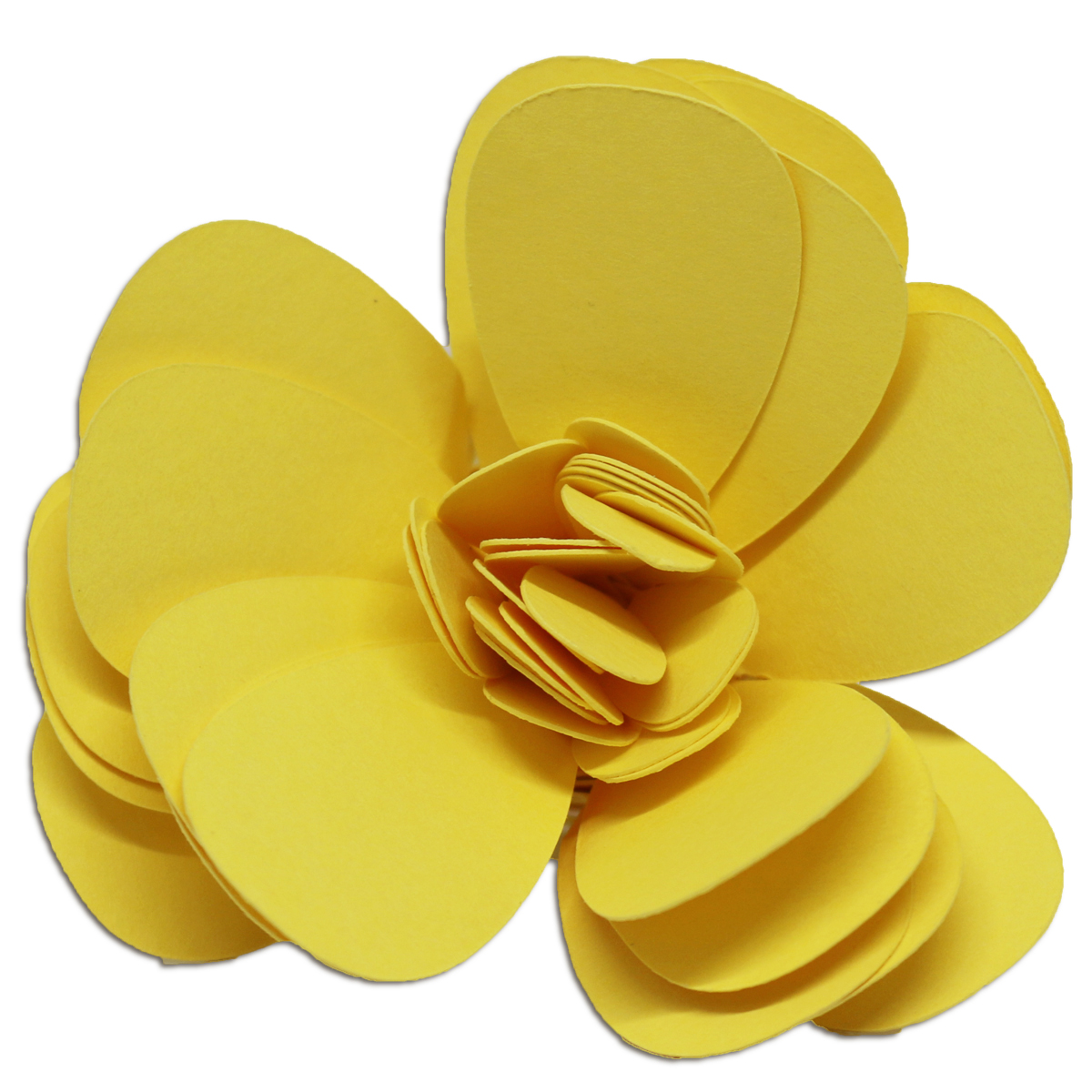 Rolled Flower Sets | Bits of Paper