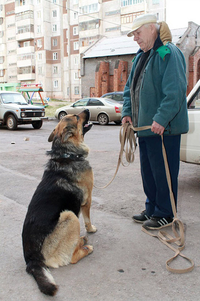 [CORAZÓN ROTO] Muere el jubilado que buscó incansablemente a su amado ...