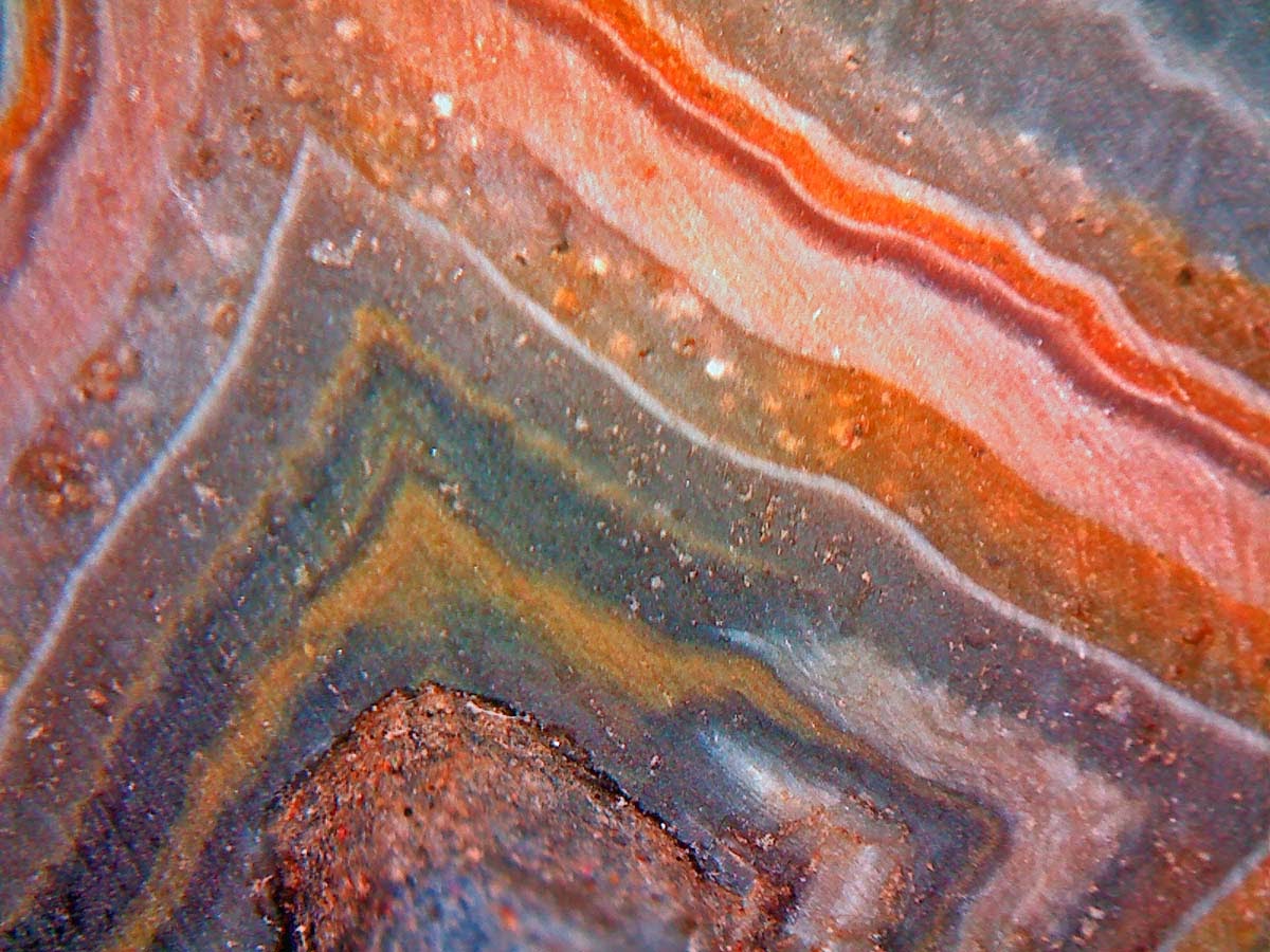 The Agatelady: Adventures and Events: Still More Agate Close Ups