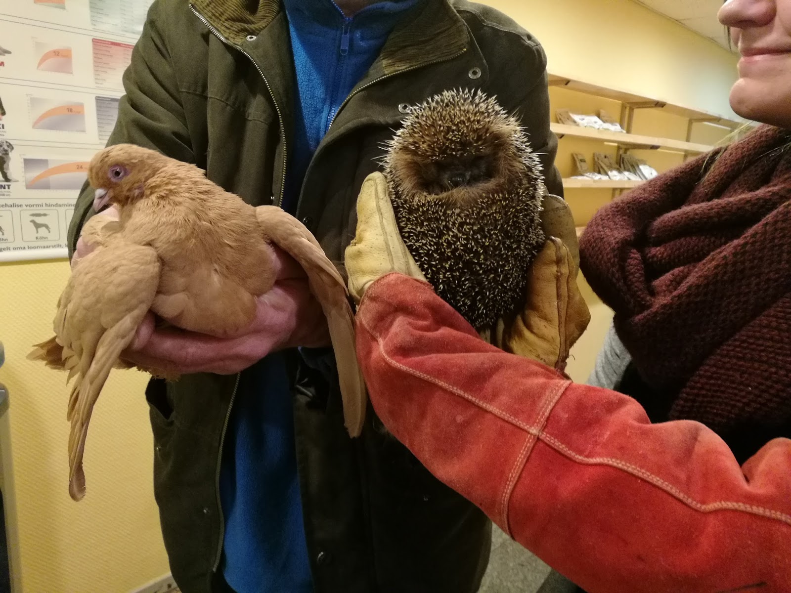 Heiksi blogi: "Aitäh Andres Lember! Aitäh, et märkasid ja rääbakale ...