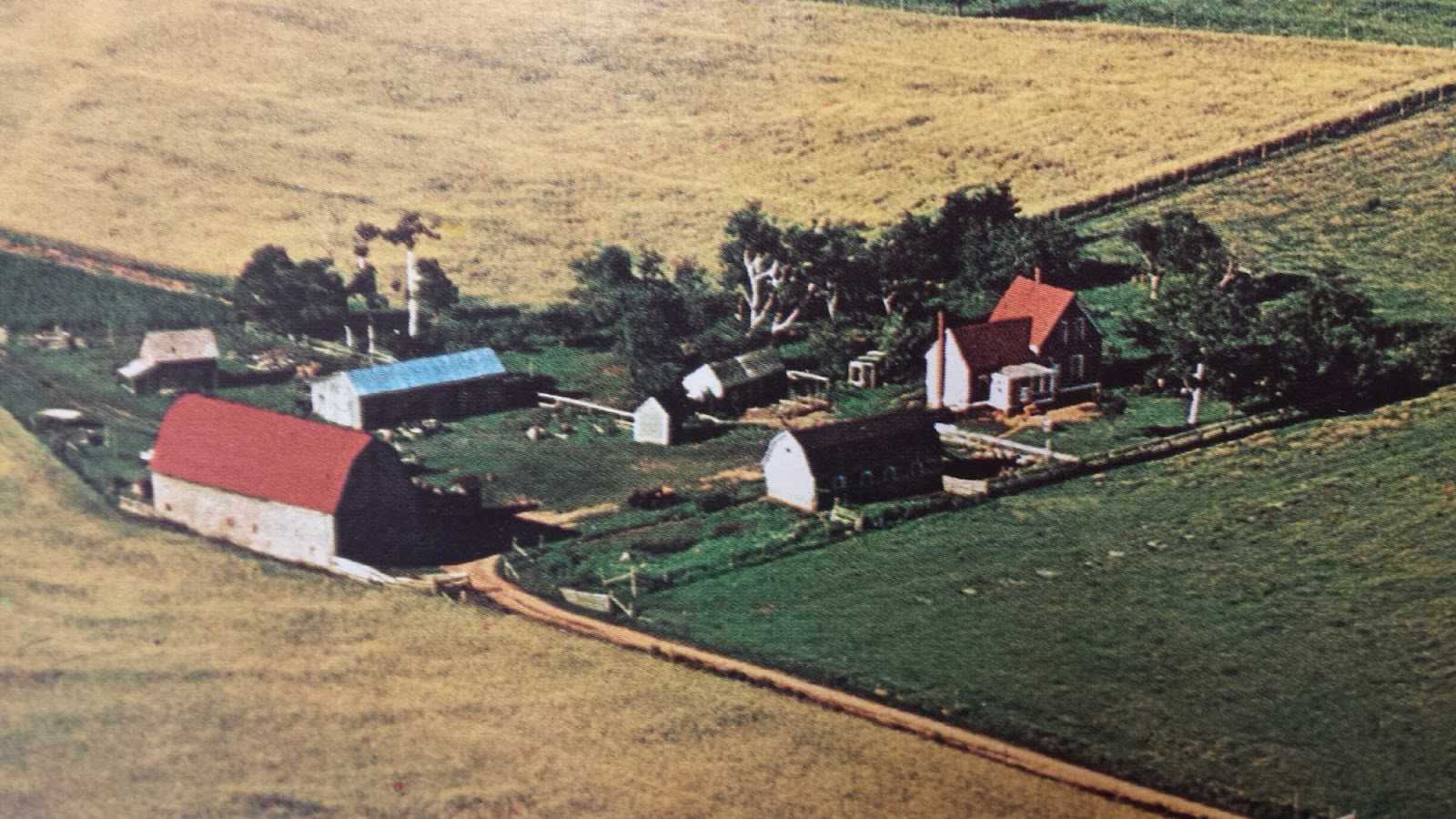 P.E.I. Heritage Buildings: Springbrook Aerial