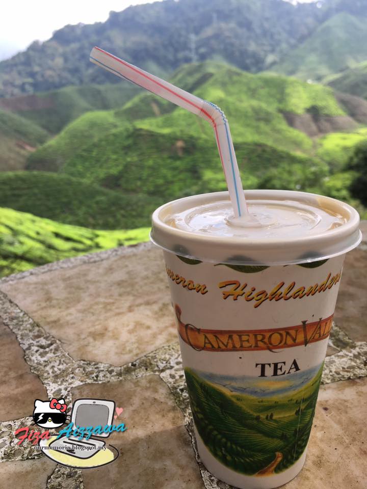 Ladang Teh Cameron Valley Tea tempat wajib dikunjungi