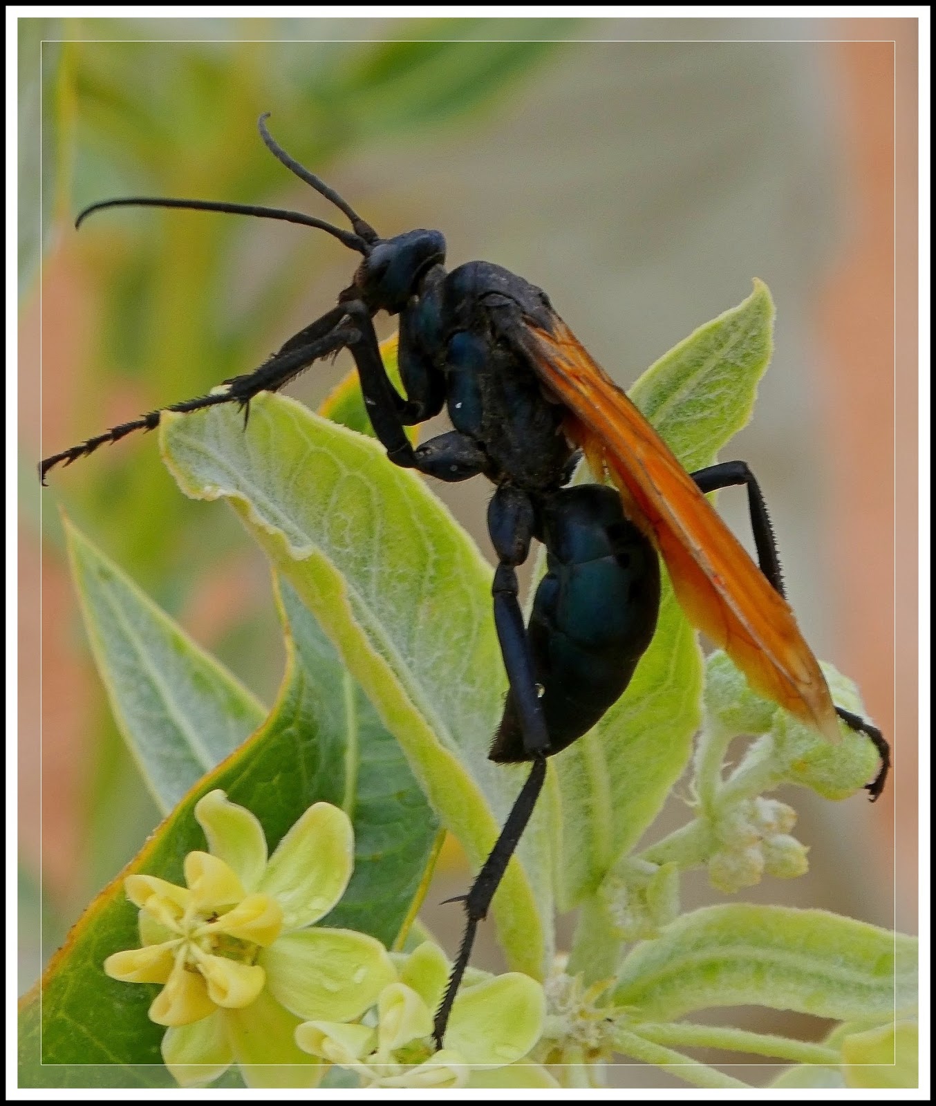 Ken's Photo Gallery: August 2017