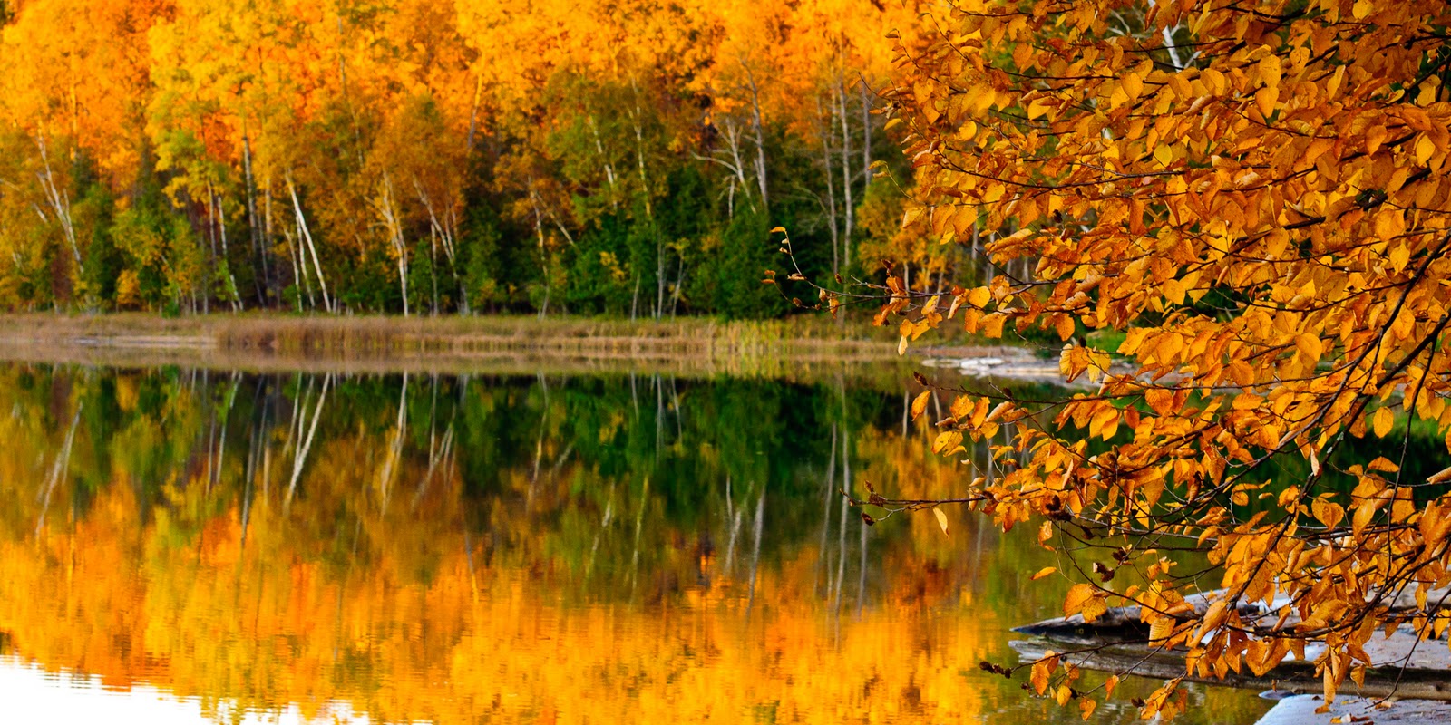 Steve Q Photo: Up North Michigan Fall Color - Day Two - October 9, 2011