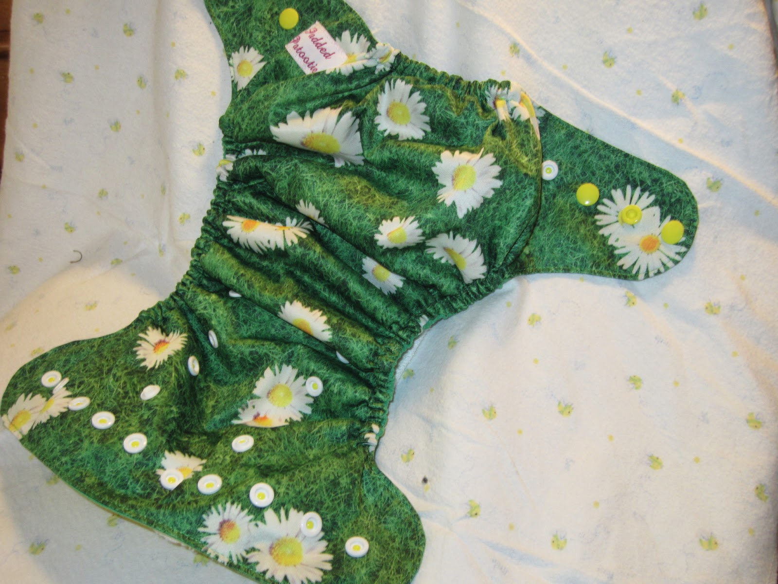 Cloth Diaper Addiction