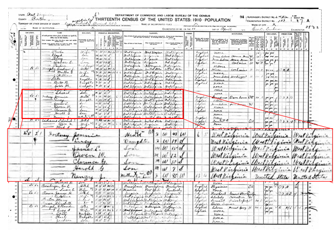 A Hobby Tree: Nancy Jane Minear 1823-after 1910 (111001)