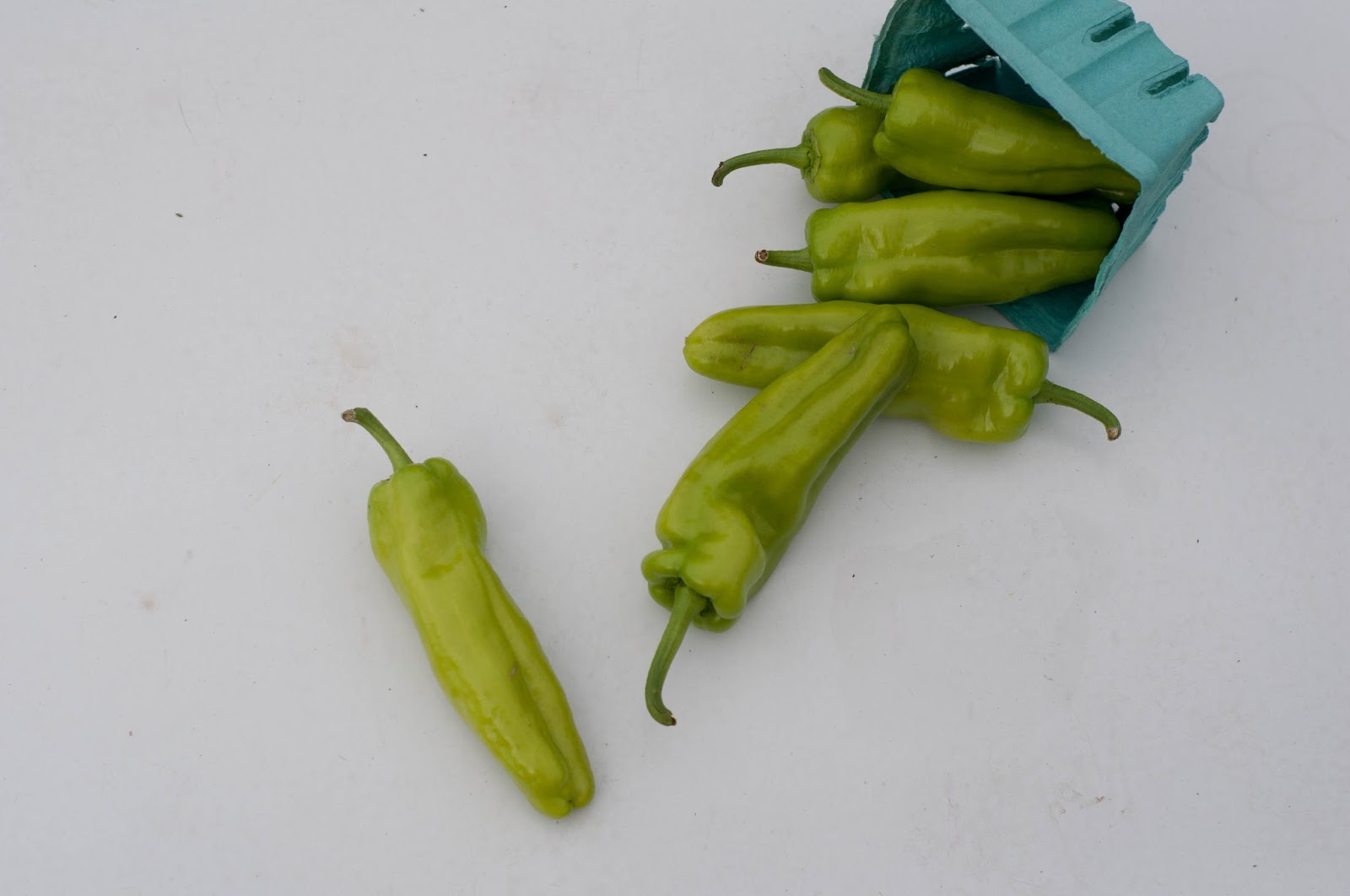 Robson's Farm: Pepper Post: Frying Pepper