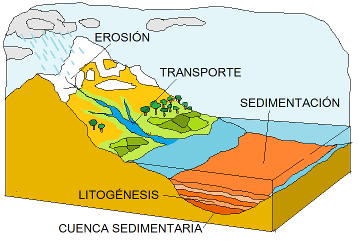 CURIOSIDADES CIENTÍFICAS : Sedimentación y formación de rocas sedimentarias