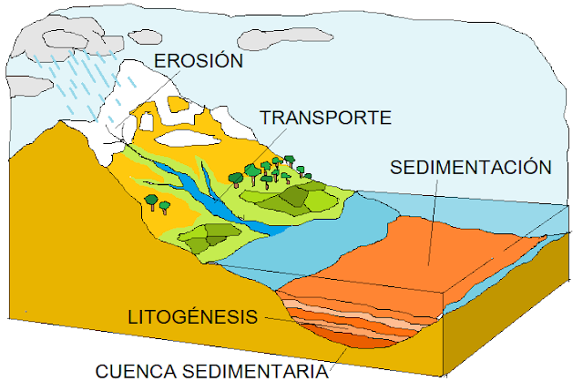 CURIOSIDADES CIENTÍFICAS : Sedimentación y formación de rocas sedimentarias