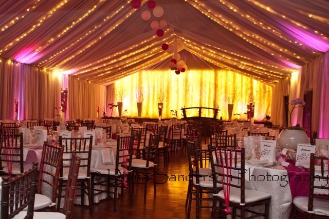 Diana Sanderson Photography: Rodean School (SA) Matric Dance Set up