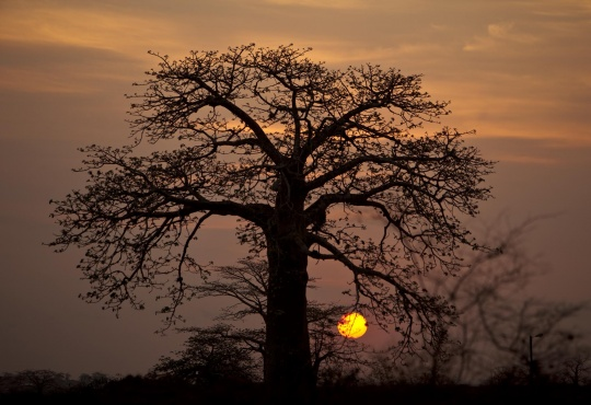 Mundo a Meus Pés: Recordar é viver