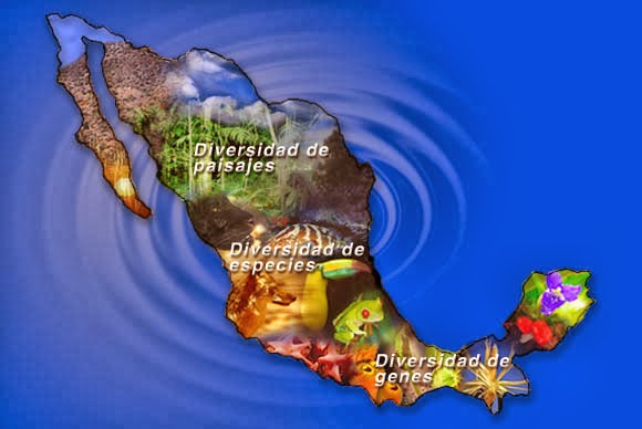 mexico: Biodiversidad de México