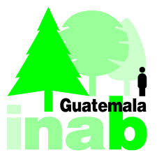 estudio del derecho ambiental: Instituto Nacional de Bosques (Ley Forestal)