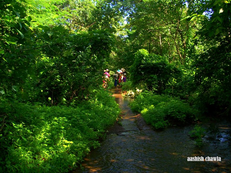 Trekking Moments: Ahupe Ghat Trek