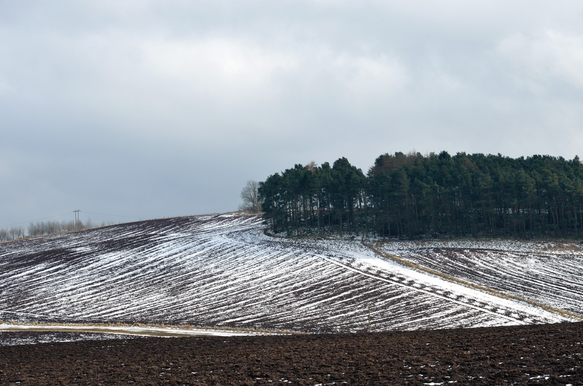 North Fife: North Fife Landscape 14th March
