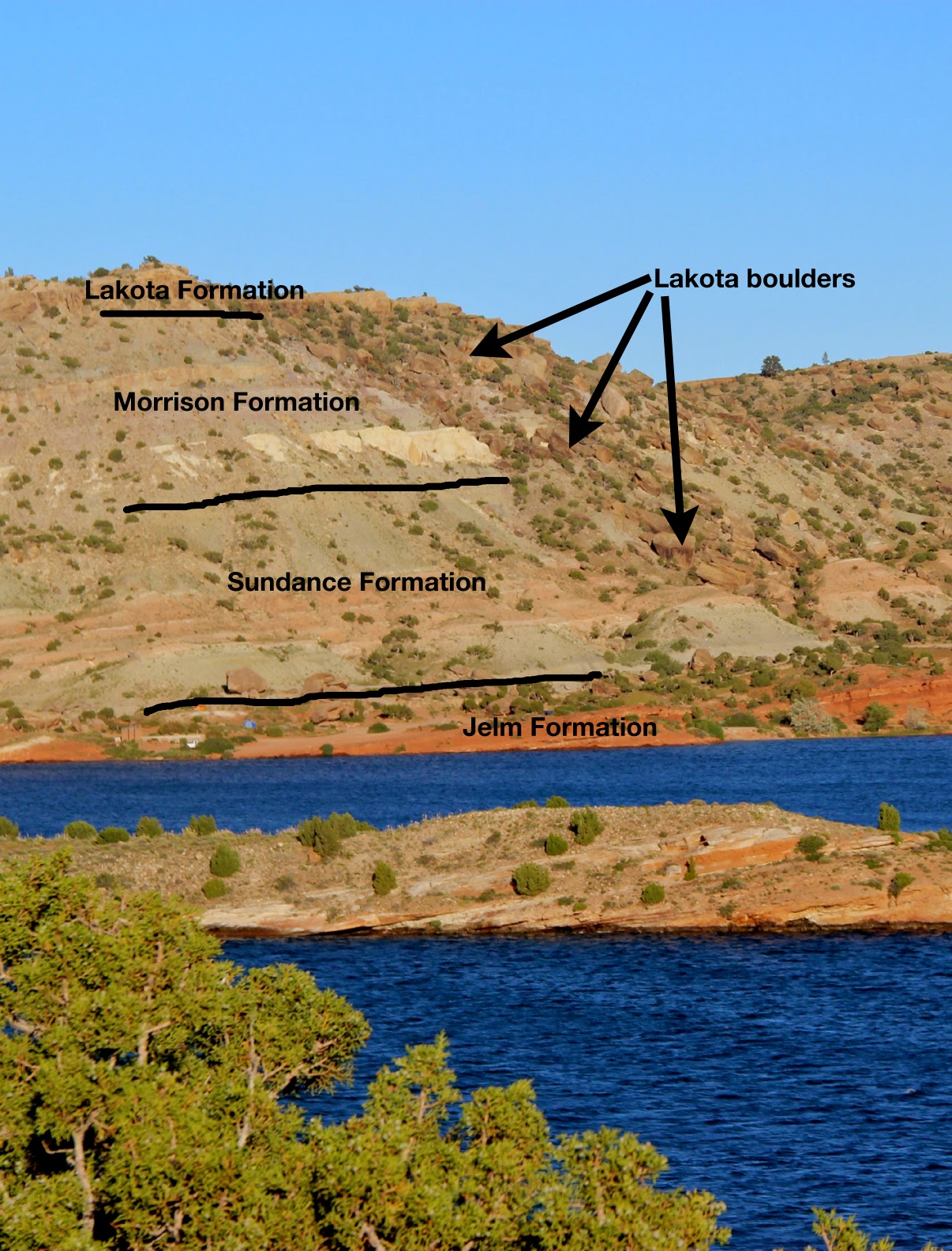 In the Company of Plants and Rocks: Hunting Pterosaurs by the Sundance Sea