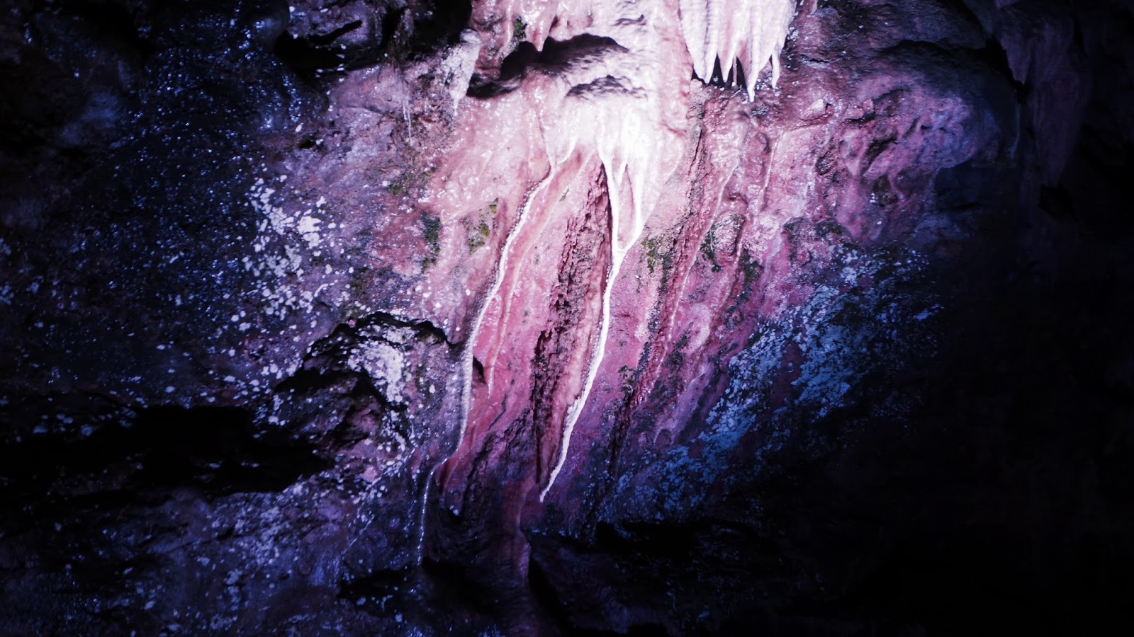 Attraction Review: Wookey Hole | Cupcakes and Coasters