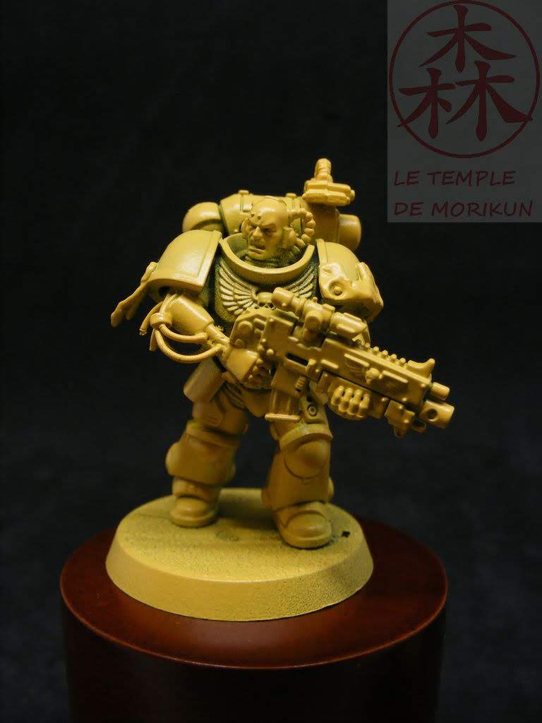LE TEMPLE DE MORIKUN: GAMES WORKSHOP SPACE MARINE PRIMARIS CONVERTI ...