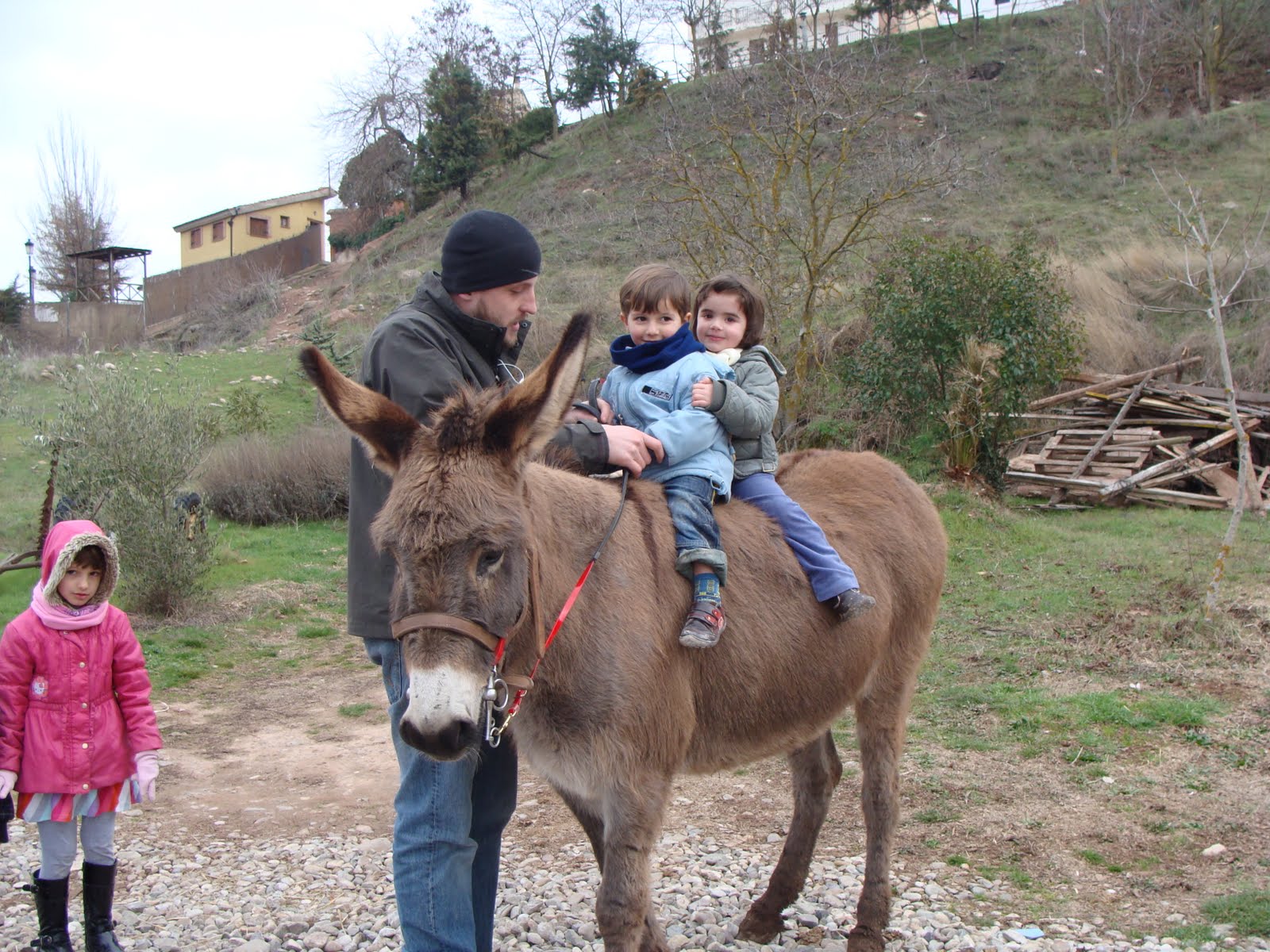 CRA Cuenca del Najerilla: LOS MEDIOS DE TRANSPORTE: EL BURRO