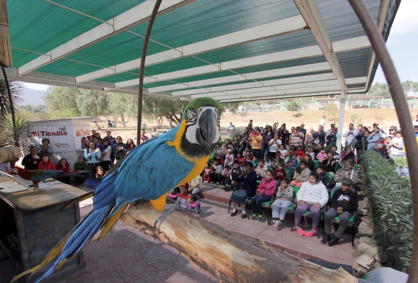 El mexiquense Hoy: Recibe Parque Ehécatl 42 mil visitantes en periodo ...