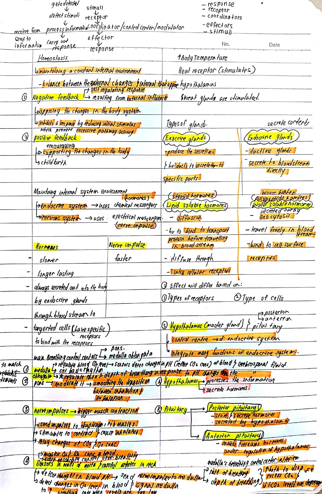 MUFY Biology Semester 1 Notes (RAW)