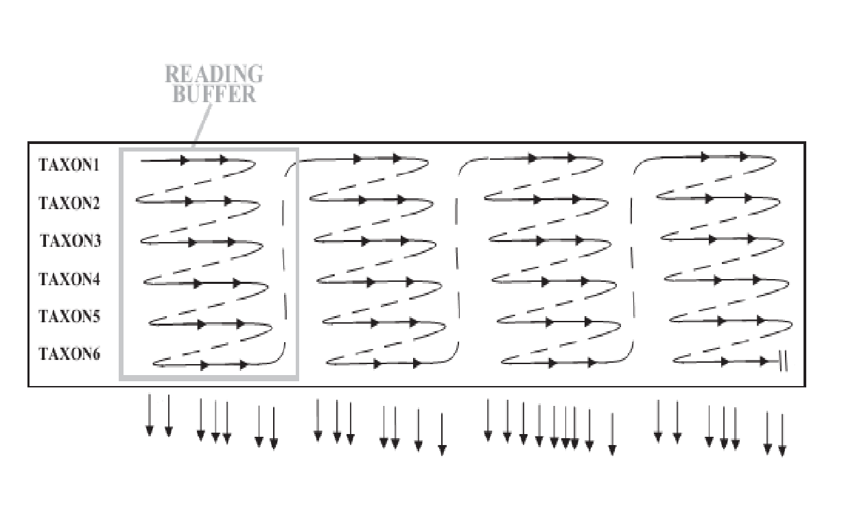Cladística y Biogeografía: ¿Sabes qué es “Oblong”?