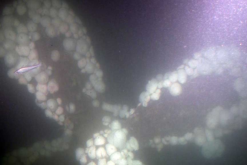 The Renaissance of Private Sector Funding for Human Exploration – Blue ...