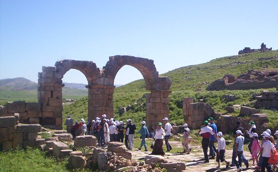 ๑۞๑ Thagaste ๑۞๑