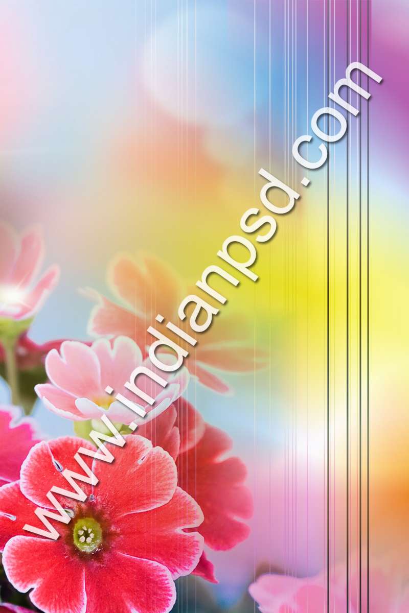 2016 new 4x6 Studio Backgrounds Free psd files free Download vol_05