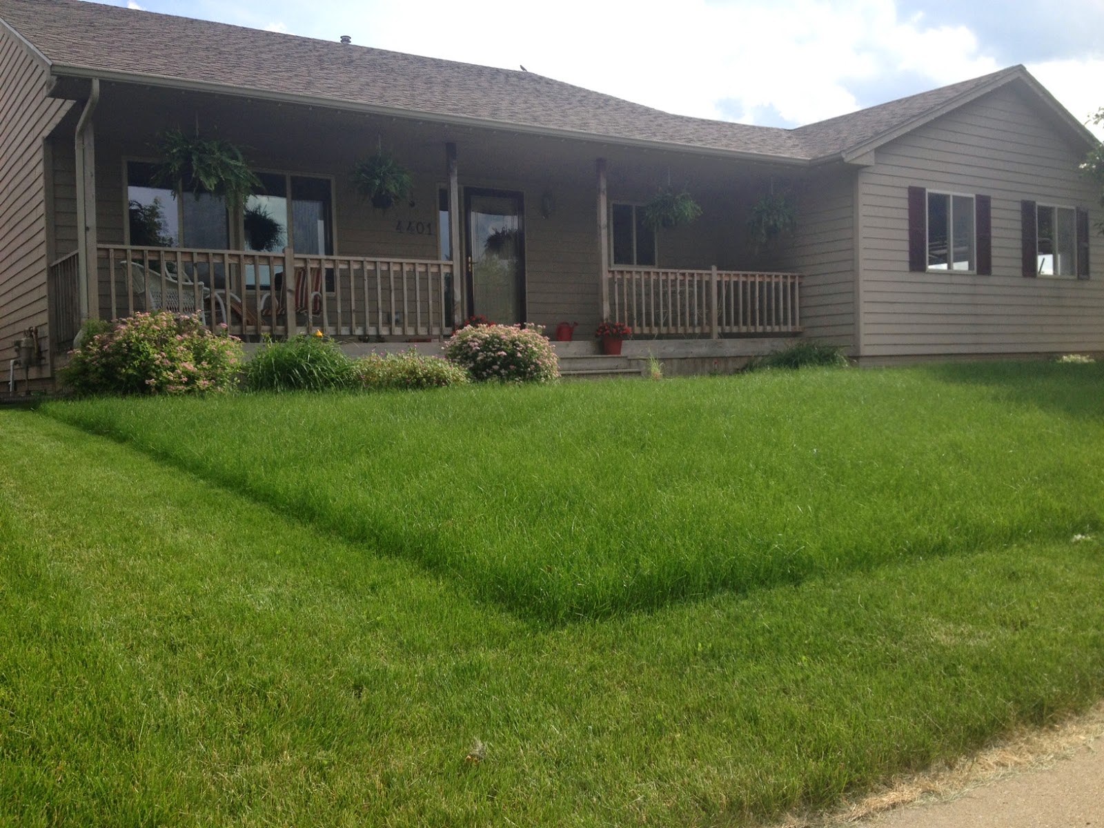 Kevin & Kelly: A Half-Mowed Lawn