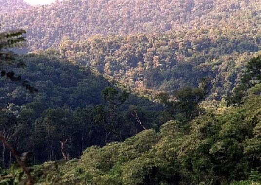 CIENCIAS BIOLOGICAS: BIOMAS DE ARGENTINA