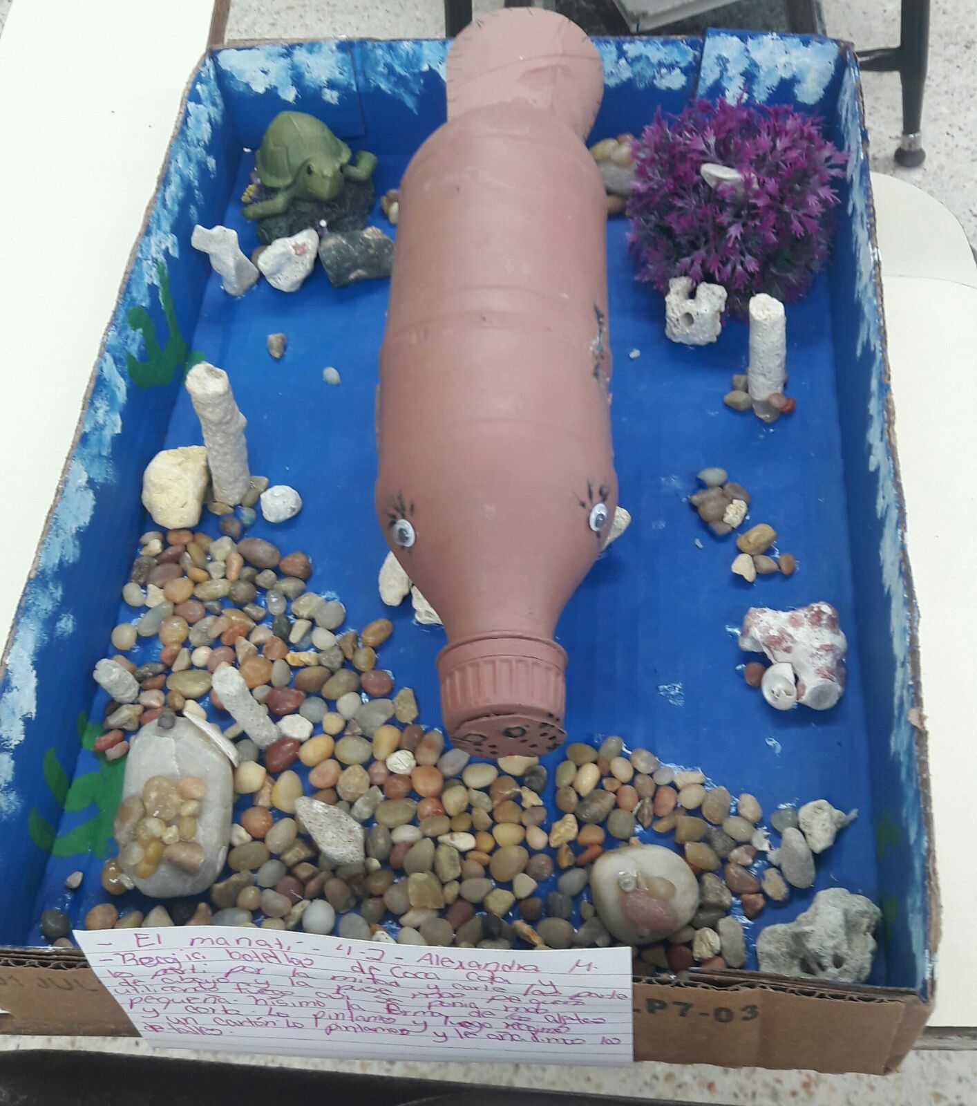 Escuela Claudio Ferrer Cotto: SEMANA DE LA CONSERVACIÓN DEL MANATÍ ...