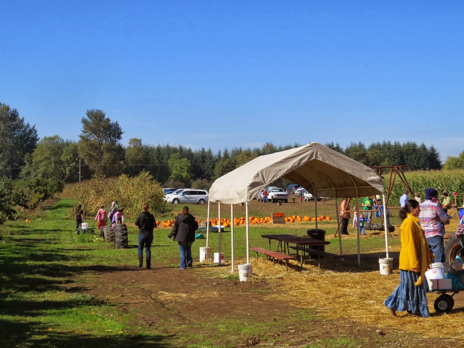 Photos by Jan: A Trip to Detering Orchards; in Harrisburg, Oregon