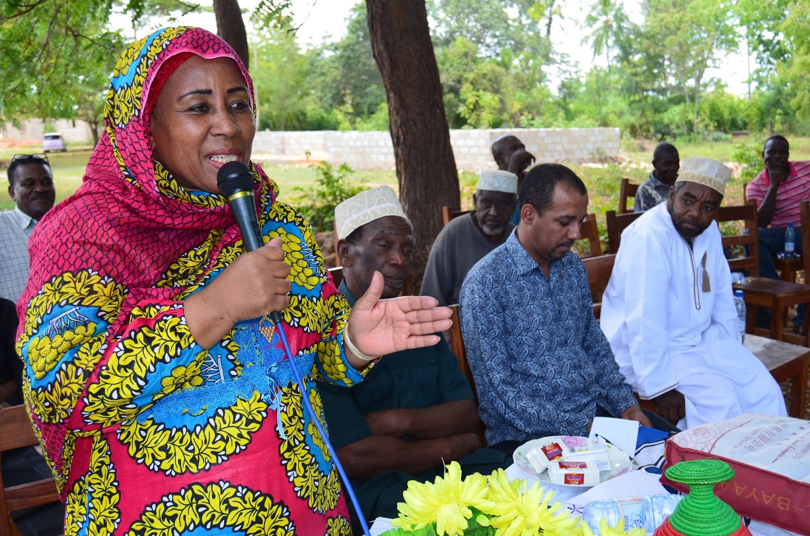 MATUKIO @ MICHUZI BLOG: Waziri Moldiline Castico ashiriki uzinduzi wa ...