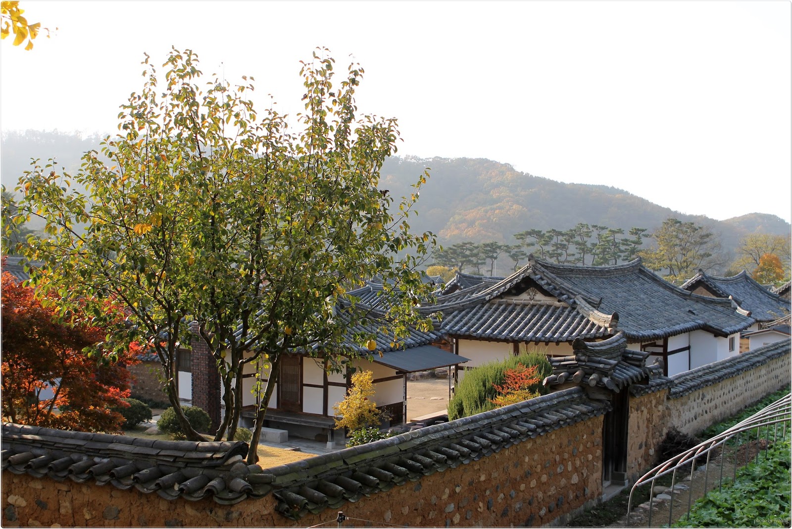 A tour of Daegu City, a good place to take pictures in the spring, and ...